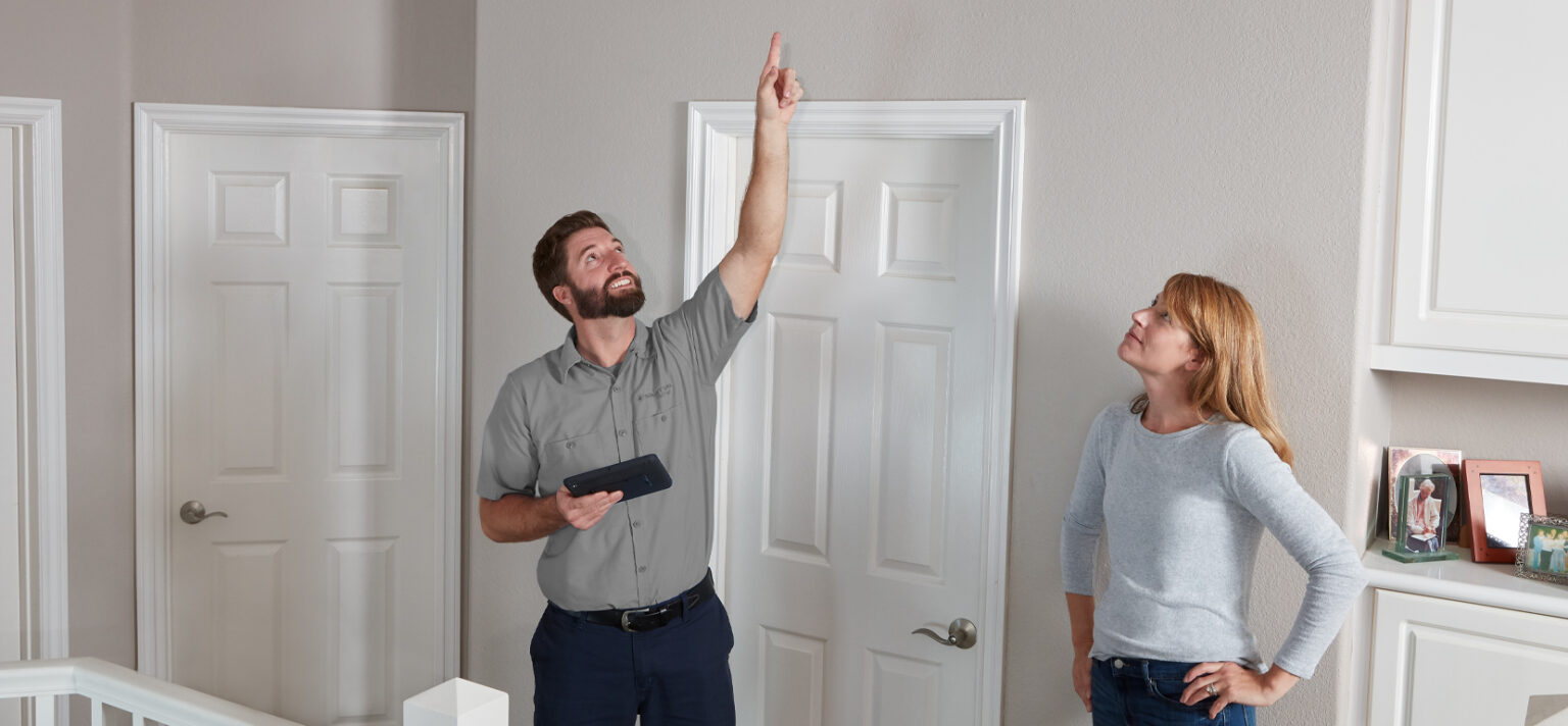 Schedule Consultation - Daylight Rangers